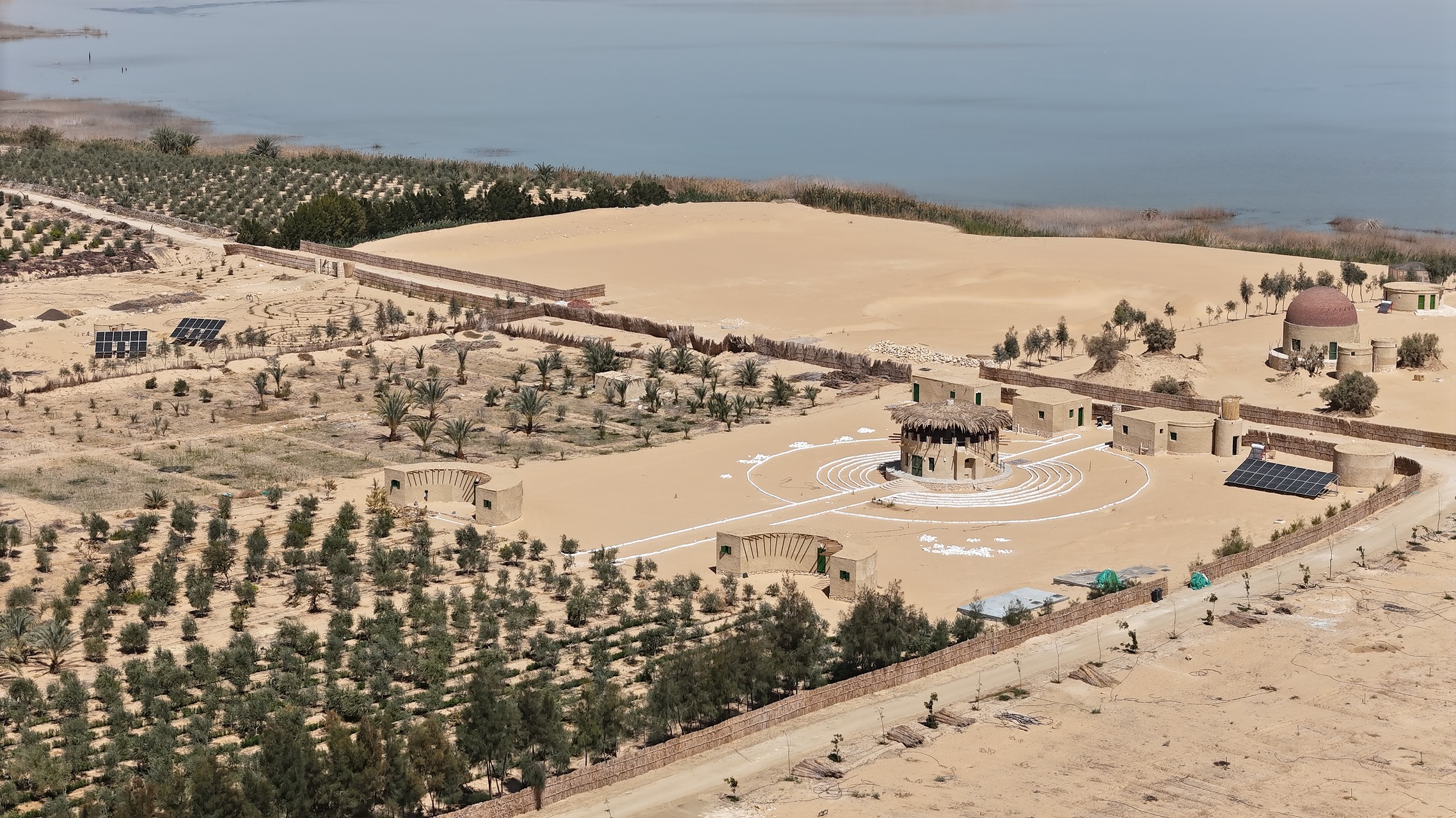 Introducing Tree Donation and Tree Adoption - Foresteer - Greening the World