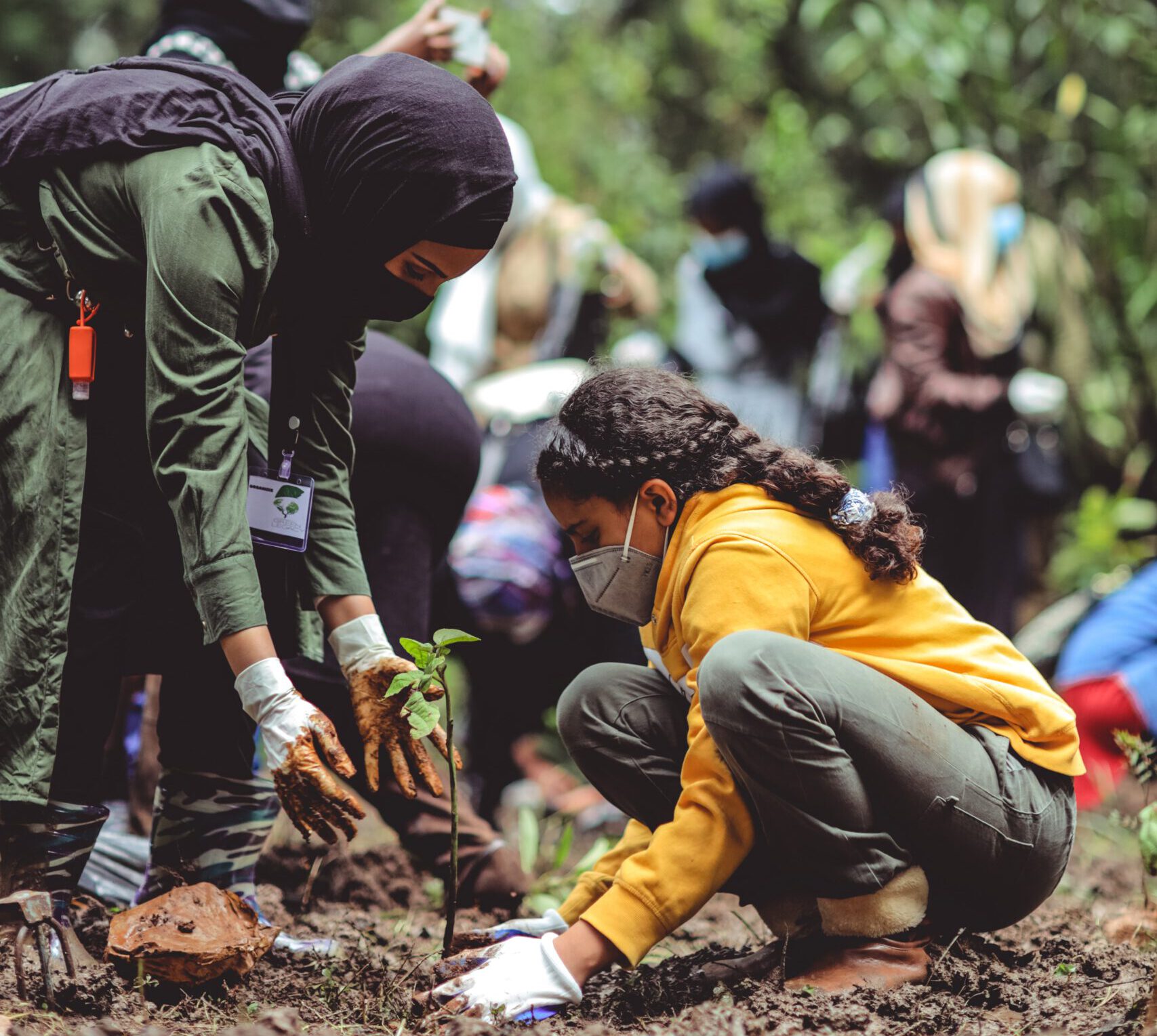 Why Planting Trees Is So Important | Foresteer